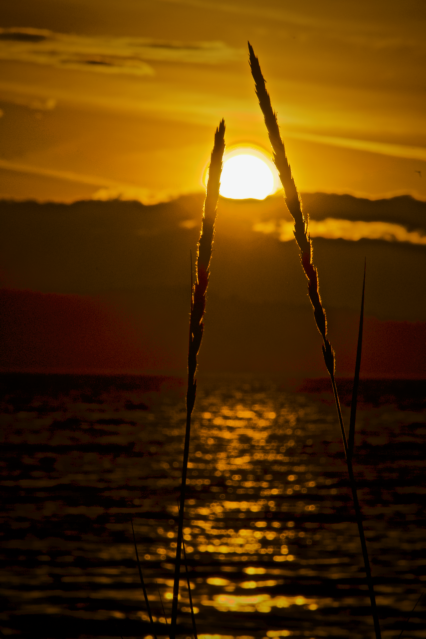 Sunset of the week 6-10-19 | Westside Seattle